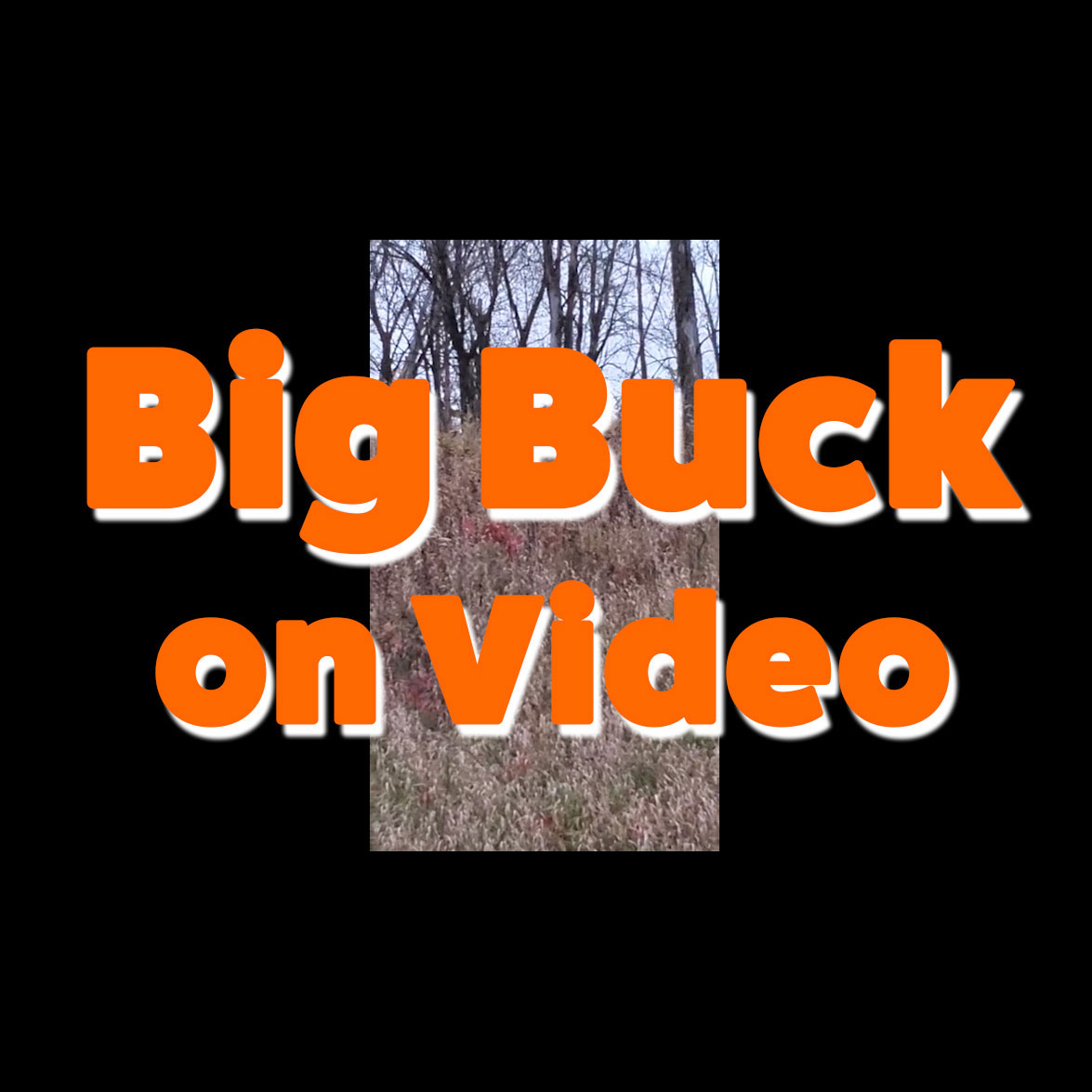 Big Buck on Video | The Otter Creek Redneck